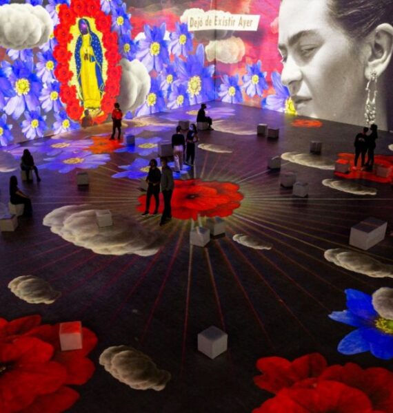 Exposição Frida Kahlo – A Vida de um Ícone chega a Salvador | Dois Terços